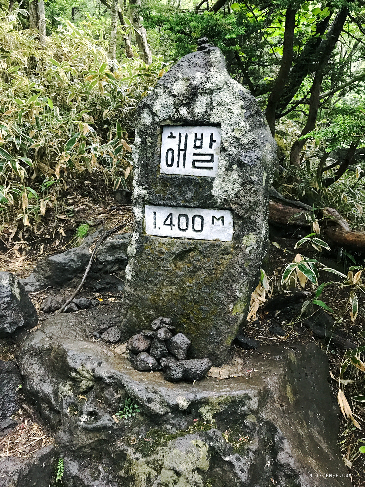 Hallasan for begyndere - Bjergvandring på Jeju - Sydkorea Blog